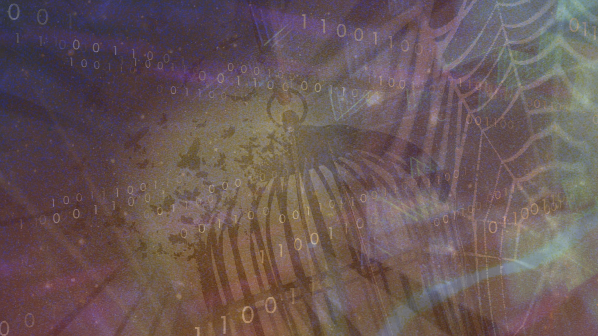 The Sovereign Process Of Freeing Yourself From The Matrix – Divine Self ...